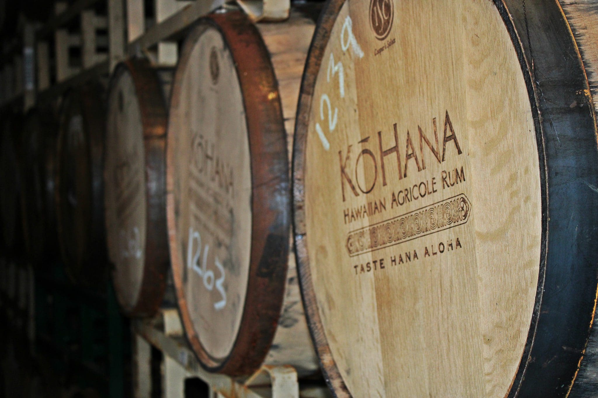 10 Reasons to visit O'ahu | ADDICTEDADDICTED