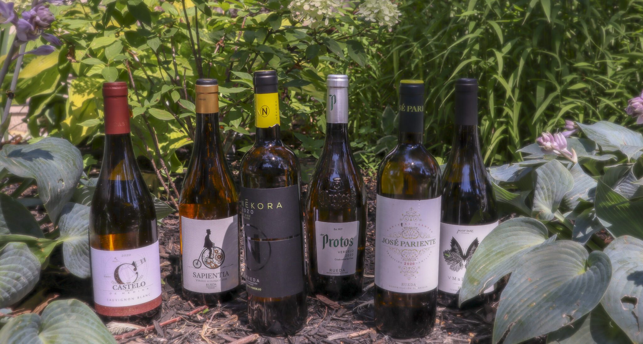 A Rueda Region Wine Experience at home with Wine Align |ADDICTED