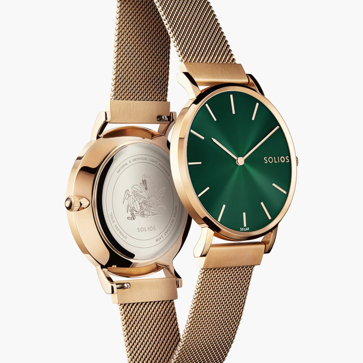 WATCH AND LEARN: Solios' Rainforest Green – A Watch for Earth Month ...