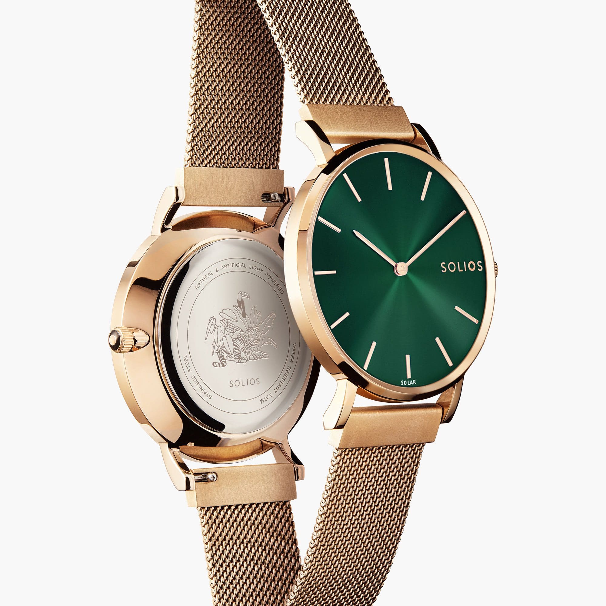WATCH AND LEARN: Solios' Rainforest Green – A Watch for Earth Month ...