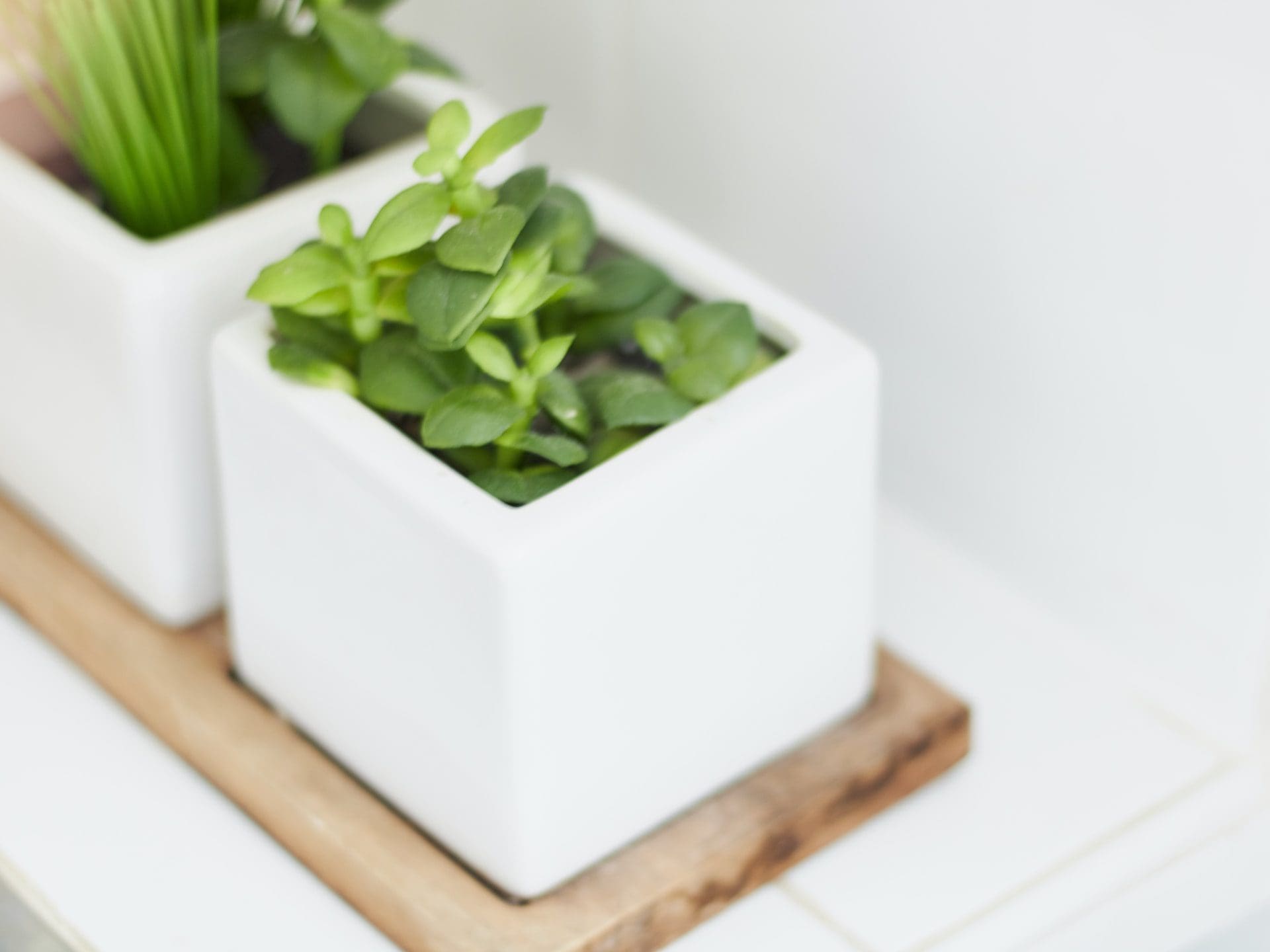 How to Properly Use Planters to Redecorate Your Home | ADDICTED